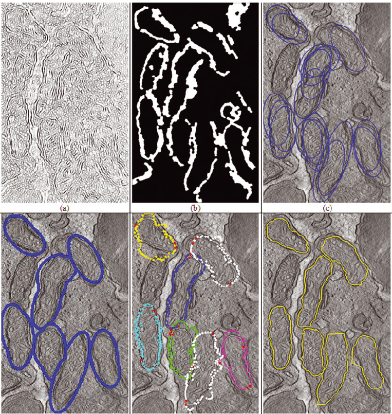 HomePage [users.metu.edu.tr]